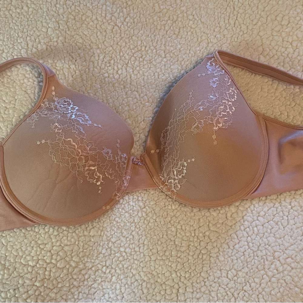 Elegant Lace Embroidered Bra - Gem